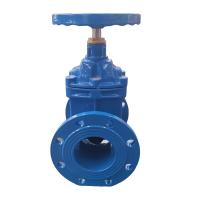 China Blue Non Rising Stem Gate Valve Flange End DN300 API 600 for Water Treatment for sale
