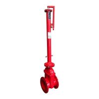 China Ductile Iron Extension Stem Gate Valve DN100 Manual Actuator Medium Temperature for sale
