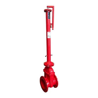 China Ductile Iron Extension Stem Gate Valve DN100 Manual Actuator Medium Temperature for sale