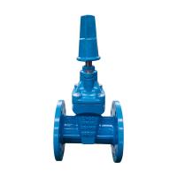 China Ductile Iron Underground Gate Valve 2-12 Inch 300 PSI Flanged Sluice Valve for sale