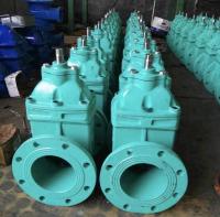 China PN16 Non Rising Stem Gate Valve GGG50 Ductile Iron Flange End Rubber Seat 250 Micron Epoxy Coated for sale