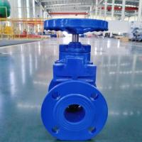 China GGG50 PN16 DIN Rising Stem Gate Valve Resilient Seat Ductile Iron Flange End for sale