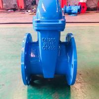 China DIN3352 F4 Elastic Seat Rising Stem Gate Valve DN100 Cast Iron Ductile Iron EPDM WRAS for sale