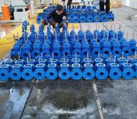 China GGG40 PN16 Resilient Seated Gate Valve 2-48 Inch Ductile Iron Flanged for Drinking Water for sale