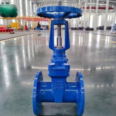 China DN300 Ductile Iron Rising Resilient Seated Gate Valve GGG50 Flanged DN40-DN1200 for sale