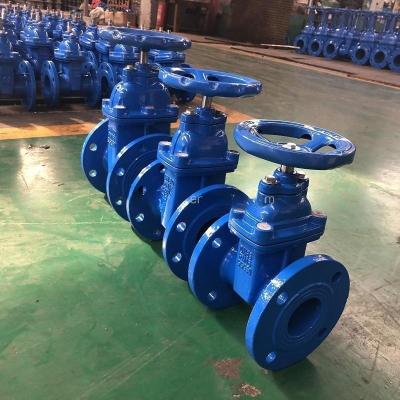 China BS5163 Flanged Ductile Iron Gate Valve DN50-DN600 PN10 PN16 Manual F4 for sale