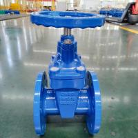 China DN300 Ductile Iron BS Gate Valve Low Temperature For Industrial Use for sale