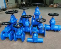 China ANSI PN16 Soft Seal Gate Valve Socket Type DN300 DN600 Size for sale