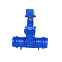 China OEM PN10 Ductile Iron Gate Valve With Socket End Customized for sale