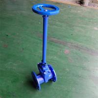 China OEM Extension Spindle Gate Valve DN50-DN600 Extended Stem Gate Valve for sale