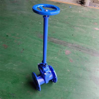 China OEM Extension Spindle Gate Valve DN50-DN600 Extended Stem Gate Valve for sale