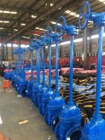 China DN80 DN100 Extension Stem Gate Valve PN10 PN16 Flange End Rubber Seat CE for sale
