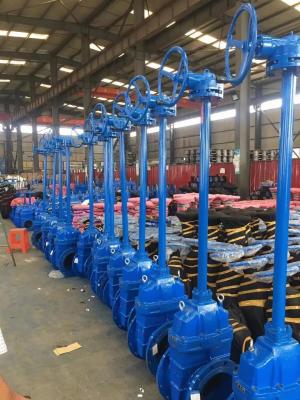 China DN80 DN100 Extension Stem Gate Valve PN10 PN16 Flange End Rubber Seat CE for sale