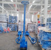 China Extension Non Rising Stem Gate Valve CE TUV ISO SGS Certified for sale