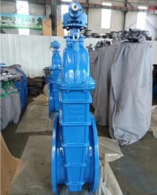 China GGG50 Rubber 6