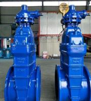 China Standard DIN Gate Valve Worm Gear Dn100 Pn16 Gate Valve Customized for sale