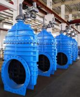 China Electric Soft Seal Gate Valve Ductile Iron Flange DN65 DN80 PN10 PN16 for sale