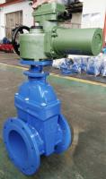 China Electric Soft Seal Gate Valve Ductile Iron Flange DN65 DN80 PN10 PN16 for sale