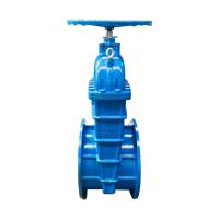 China Large Size Rubber Seat Gate Valves DN300 to DN1000 Ductile Iron EPDM Coated for sale