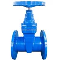 China 2500lb Rising Stem Gate Valve Nominal Diameter DN50-DN900 for sale