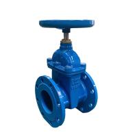 China Rising Stem Gate Valve PN16 Ductile Iron Flange End Resilient Seat DN40-DN1200 for sale