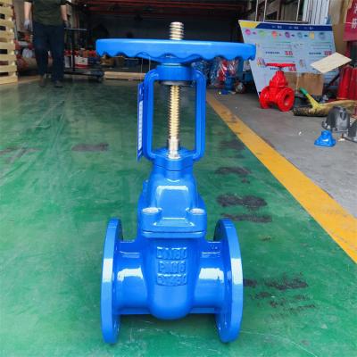 China DN50-DN900 Ductile Iron Soft Sealing Rising Stem Groove Gate Valve 2-24 inch for sale