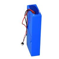 China Diy 12v 50ah Lifepo4 Lithium Ion Marine Battery Pack With BMS for sale