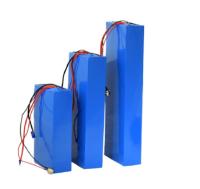China Rechargeable Lithium Ion Bike Battery , 5Kg 60v 12ah Lithium Ion Battery for sale