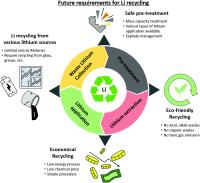 China Black Mass Lithium Ion Battery Recycling Tech Advisory Consultancy Hydrometallurgy for sale