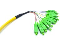 China CATV / ODF SC Optical Fiber Pigtail 12 Core Bundle With Zirconium Dioxide Ferrule for sale