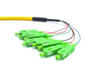 China Bundle SM Optical Fiber Pigtail Patch Cord 8 Core Multimode With SC / APC Connector for sale