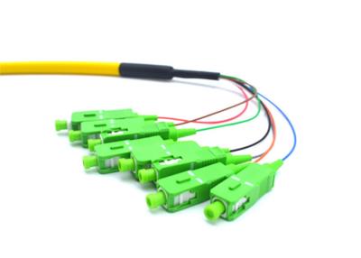 China Bundle SM Optical Fiber Pigtail Patch Cord 8 Core Multimode With SC / APC Connector for sale