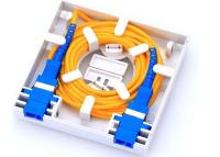 China Indoor Fiber Optic Distribution Box Mini 2 Port 2 Core Fiber Wall Mount Enclosure for sale