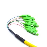 China Bundle SM Optical Fiber Pigtail Patch Cord 8 Core Multimode With SC / APC Connector for sale