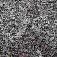 China 2023 New Arrival Wholesale Price Sequin Lace Fabric Embroidery for sale