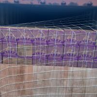 China VIVID Yichuang Cake Emulsifier - 600% Foaming Power, 12 Month Shelf Life for Sponge Cake & Pastry for sale