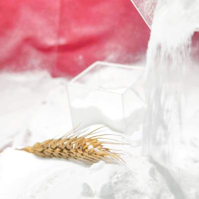China Distilled Glycerol Monostearate GMS 401 E471 Emulsifier with 40-50% Monoglyceride Content and 58℃ Melting Point for sale