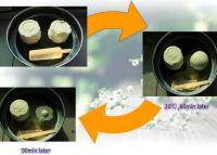 China VIVID PGE Polyglycerol Esters of Fatty Acids Ice Cream Emulsifier 20kg Carton for sale