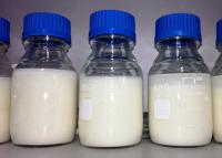 China Bread Improver Food Grade Emulsifiers E472e Ivory White Yogurt Audiophiles Milk E472E DATEM Powder for sale