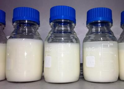 China Bread Improver Food Grade Emulsifiers E472e Ivory White Yogurt Audiophiles Milk E472E DATEM Powder for sale