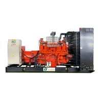 China YLTR-800CC 800KW 100KVA 800 Kw Natural Gas Generator Set Biogas Engine Generator for sale