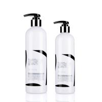 China Customized Hair Care Containers 14 OZ 10 Oz Plastic Pump Bottles for sale