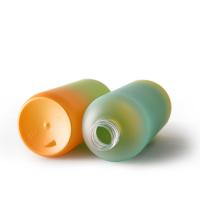 China 300ml Matte Finish Plastic Bottles Packaging For Shampoo And Conditioner for sale