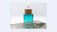 China Clear Cosmetic Serum Bottles 50ml Empty Skincare Containers With Silver Dropper Lid for sale