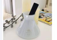 China Conical Flask Home Fragrance 200ml Reed Diffuser Glass Bottle Support Sample for sale