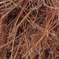 China Non Alloy Scrap Copper Cable Copper Wire Scrap Price for sale