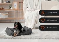 China OEM Smart Dog Bed With Health Monitoring, APP Track Sleep/Heart/Breath For Puppy Senior Dog Peace Of Mind for sale