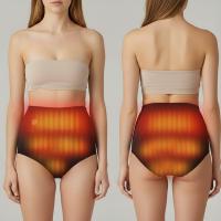 China Customizable Graphene Electric Heated Panties Antibacterial For Women​ Warm Palace Heated Underwear for sale