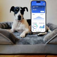 China Smart Reptile Pet Bed Health Monitor Track Heart Rate Breathing Rate Sleep Pad WiFi Control Outdoor & Car Use Pet Mat for sale