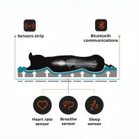 China Smart Reptile Pet Bed Health Monitor Track Heart Rate Breathing Rate Sleep Pad WiFi Control Outdoor & Car Use Pet Mat for sale